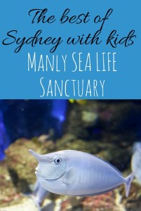 The Best of Sydney with Kids: Manly SEA LIFE Sanctuary - Adventure, baby!