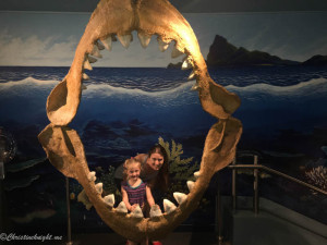 The Best of Sydney with Kids: Manly SEA LIFE Sanctuary - Adventure, baby!