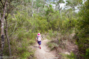 Tips for Bushwalking with Preschoolers - Adventure, baby!