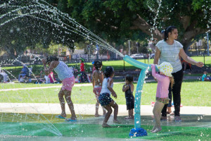 Sydney's Best Playgrounds: James Ruse Reserve Playground - Adventure, baby!