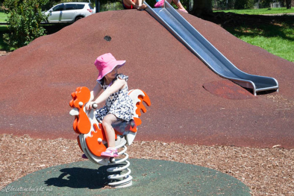 Sydney's Best Playgrounds: James Ruse Reserve Playground - Adventure, baby!