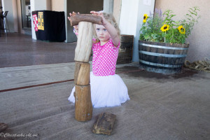 Summer at the Sydney Opera House - Adventure, baby!