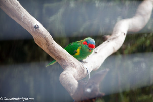 Central Gardens Nature Reserve Merrylands South West Sydney