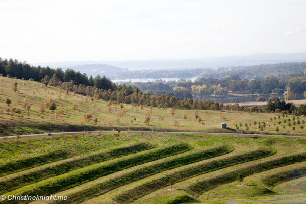 ACT Travel Guide: National Arboretum Canberra - Adventure, baby!