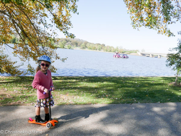 The Best Things To Do In Canberra With Kids - Adventure, baby!