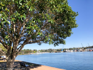 The Best Sydney Parks To Explore - Adventure, baby!