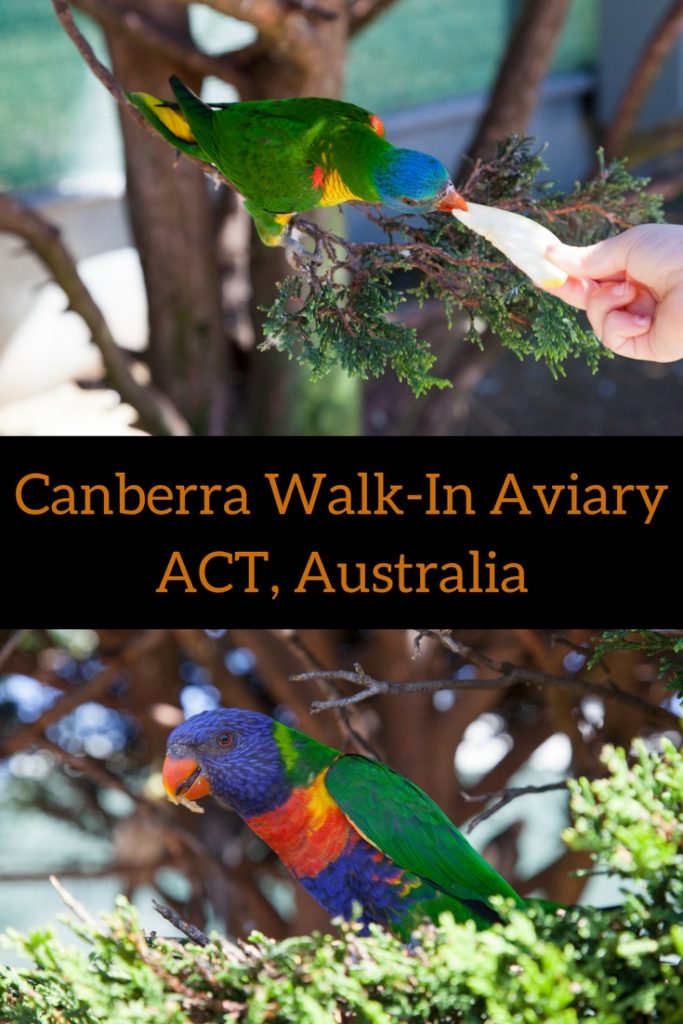Up Close With Birds at the Canberra Walk-In Aviary, Australia ...