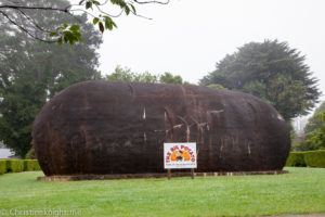 Robertson NSW: Sydney Day Trips - Adventure, baby!