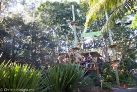 Wild Ropes at Taronga Zoo, Sydney, Australia - Adventure, baby!