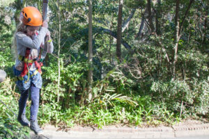 Wild Ropes at Taronga Zoo, Sydney, Australia - Adventure, baby!