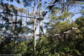 Wild Ropes at Taronga Zoo, Sydney, Australia - Adventure, baby!