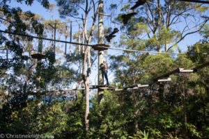 Wild Ropes at Taronga Zoo, Sydney, Australia - Adventure, baby!