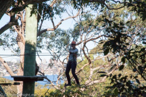 Wild Ropes at Taronga Zoo, Sydney, Australia - Adventure, baby!