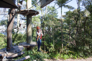 Wild Ropes at Taronga Zoo, Sydney, Australia - Adventure, baby!