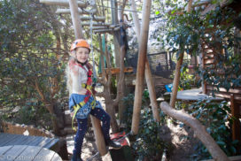 Wild Ropes at Taronga Zoo, Sydney, Australia - Adventure, baby!