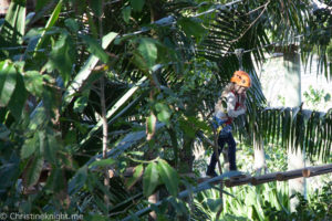 Wild Ropes at Taronga Zoo, Sydney, Australia - Adventure, baby!