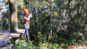 Wild Ropes at Taronga Zoo, Sydney, Australia - Adventure, baby!