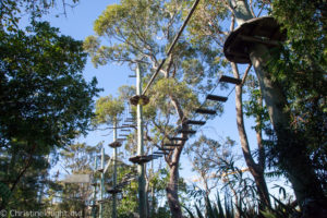 Wild Ropes at Taronga Zoo, Sydney, Australia - Adventure, baby!