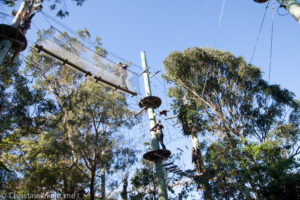 Wild Ropes at Taronga Zoo, Sydney, Australia - Adventure, baby!