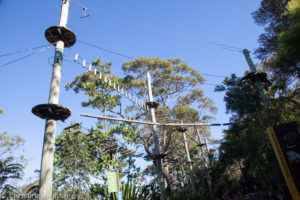 Wild Ropes at Taronga Zoo, Sydney, Australia - Adventure, baby!