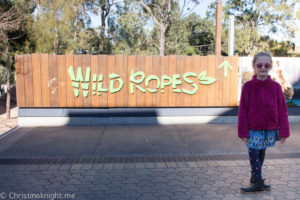 Wild Ropes at Taronga Zoo, Sydney, Australia - Adventure, baby!