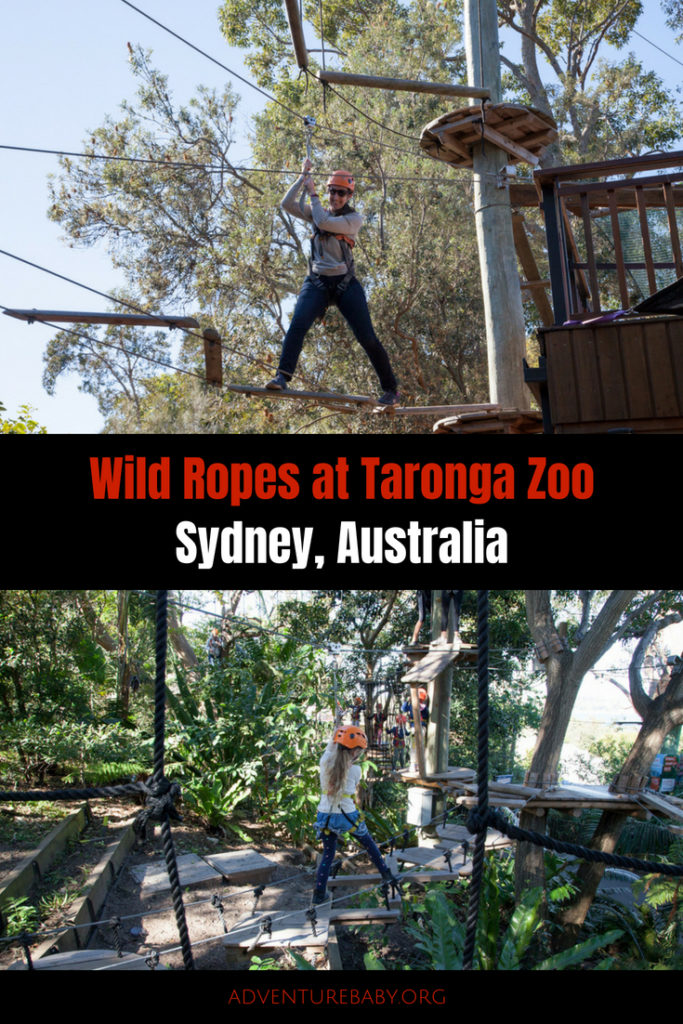 Wild Ropes at Taronga Zoo, Sydney, Australia - Adventure, baby!