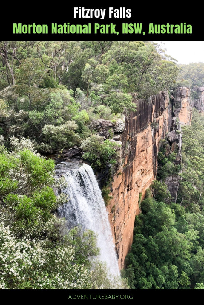 Fitzroy Falls Morton National Park NSW - Adventure, baby!