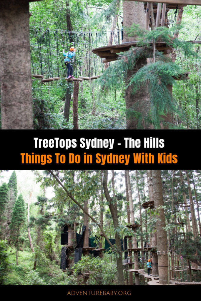 TreeTops Adventure Park Sydney - The Hills - Adventure, baby!