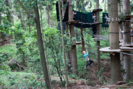 TreeTops Adventure Park Sydney - The Hills - Adventure, baby!