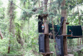 TreeTops Adventure Park Sydney - The Hills - Adventure, baby!