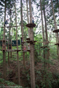 TreeTops Adventure Park Sydney - The Hills - Adventure, baby!