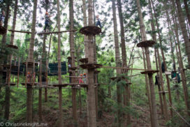 TreeTops Adventure Park Sydney - The Hills - Adventure, baby!