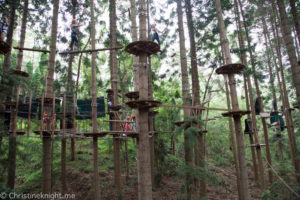 TreeTops Adventure Park Sydney - The Hills - Adventure, baby!