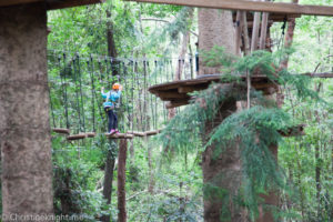 TreeTops Adventure Park Sydney - The Hills - Adventure, baby!