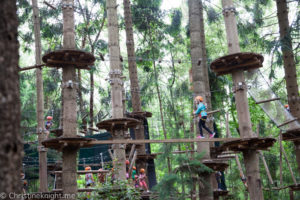 TreeTops Adventure Park Sydney - The Hills - Adventure, baby!