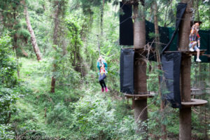 TreeTops Adventure Park Sydney - The Hills - Adventure, baby!