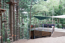 TreeTops Adventure Park Sydney - The Hills - Adventure, baby!