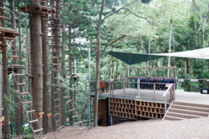 TreeTops Adventure Park Sydney - The Hills - Adventure, baby!