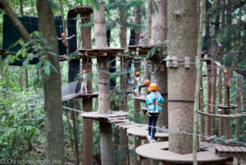 TreeTops Adventure Park Sydney - The Hills - Adventure, baby!