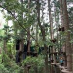 TreeTop Adventure Park Western Sydney - Adventure, baby!