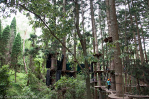 TreeTops Adventure Park Sydney - The Hills - Adventure, baby!