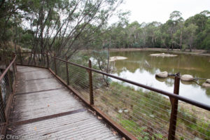 Tidbinbilla Nature Reserve, Canberra, Australia - Adventure, baby!