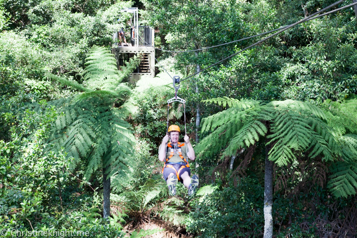 Illawarra Fly Treetop Adventures Australia - Adventure, baby!