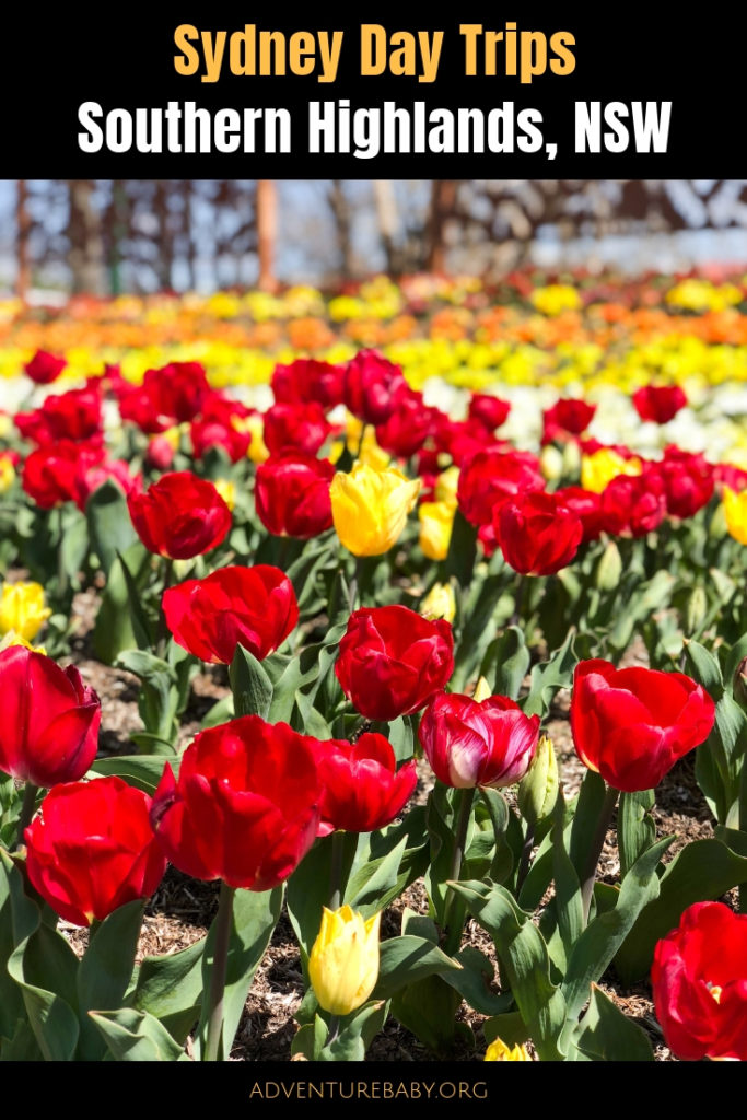 Sydney Escapes: Things to do in the Southern Highlands - Adventure, baby!