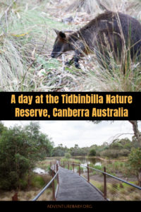 Tidbinbilla Nature Reserve, Canberra, Australia - Adventure, baby!
