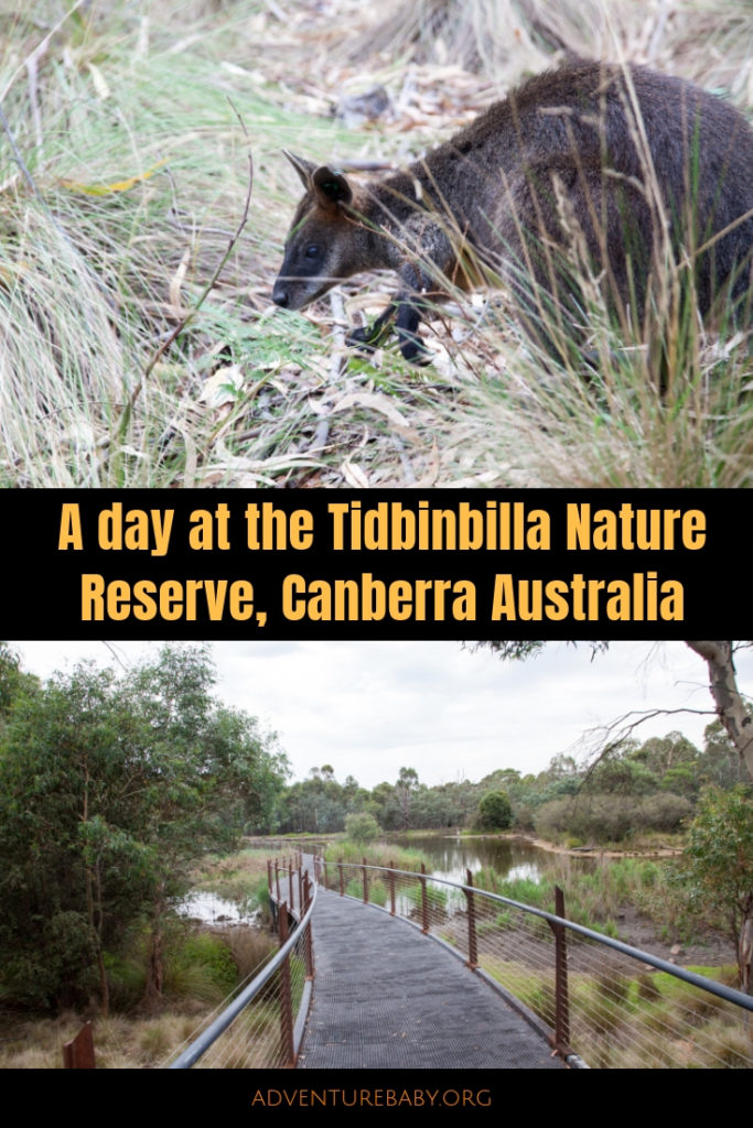 Tidbinbilla Nature Reserve, Canberra, Australia - Adventure, baby!