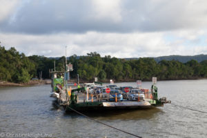 Visiting the Daintree Rainforest - Adventure, baby!