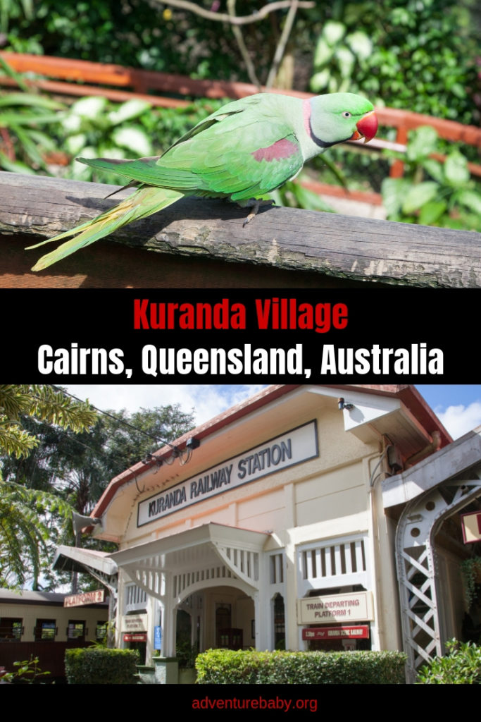 Things To Do In Kuranda Cairns - Adventure, baby!
