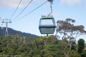 A Journey Above The Trees With Kuranda Skyrail Rainforest Cableway ...