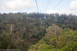 A Journey Above The Trees With Kuranda Skyrail Rainforest Cableway ...
